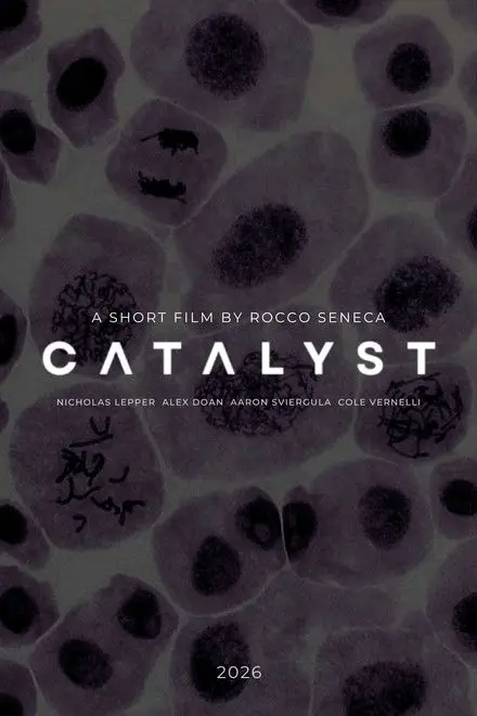 Interstellar Movie Moviespapa